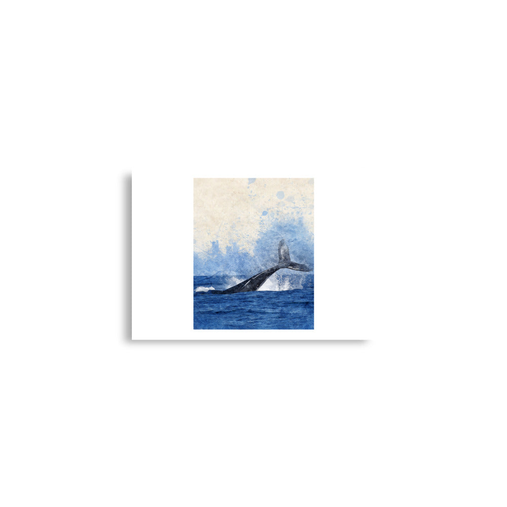 Poster "Walflosse" – Art & Frame